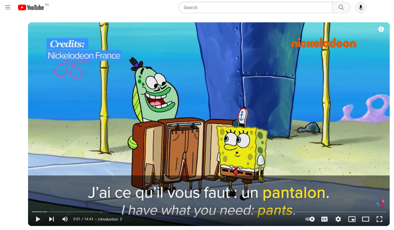 Benefits of Subtitled Video for Learning a New Language